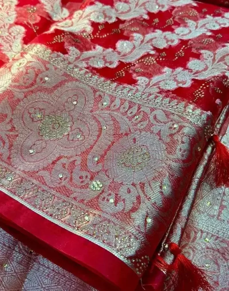 Must-Have Modern Zardozi Sarees for Wedding & Parties